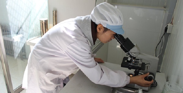 Aorun Jingu (Jinan) Biotechnology Co., Ltd